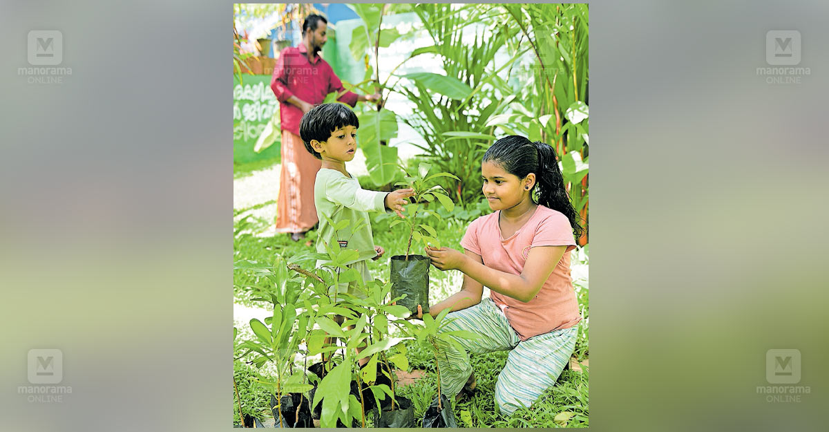 വീടിന് ജപ്തി നോട്ടിസ്; കുഞ്ഞുകർഷകയുടെ ജീവിതത്തിലെ കള പറിക്കാനാരുണ്ട് ...