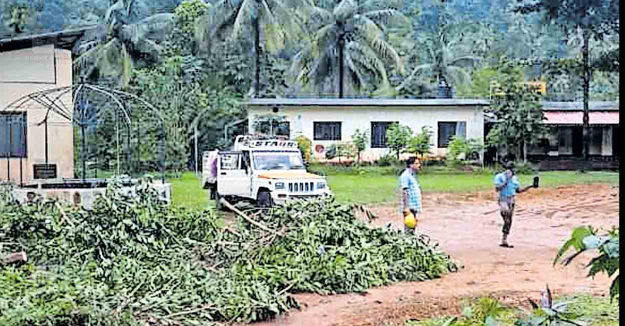 പൂവാറൻതോട് സ്കൂൾ സ്റ്റേജിന് മുകളിലെ വൈദ്യുതലൈൻ മാറ്റി | Koodaranji ...