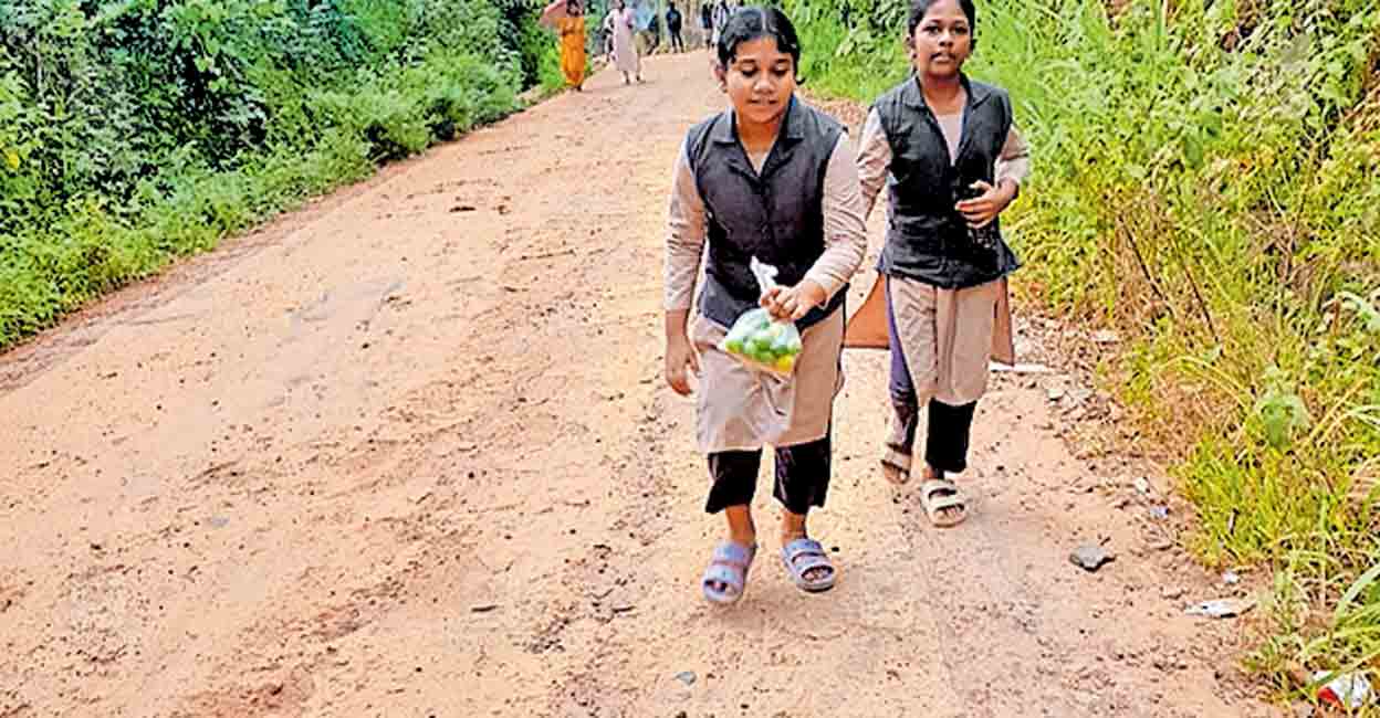ടാറിങ് തുടർ പ്രവൃത്തി വൈകുന്നു; പാലോളി മുക്ക്– വാകയാട് റോഡിൽ യാത്രാ ...