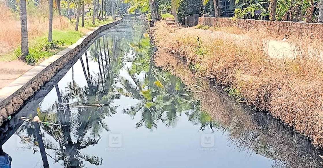 കരിമ്പനത്തോട്: 12 ആഴ്ചയ്ക്കുള്ളിൽ നടപടിയെടുക്കണമെന്ന് ഹൈക്കോടതി ...