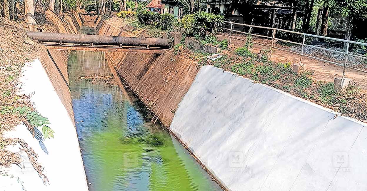 കുറ്റ്യാടി ജലസേചന പദ്ധതി: കനാലിലേക്ക് നീരൊഴുക്ക് നാളെ മുത ...
