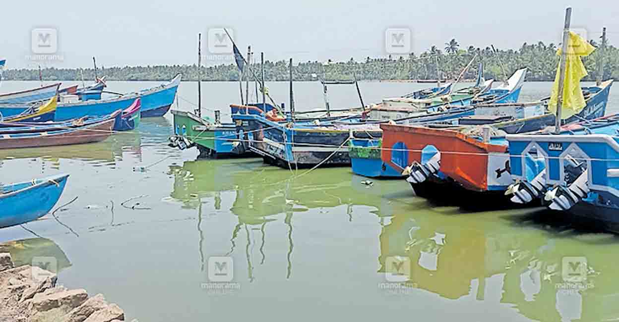 കടലിൽ മീൻ ലഭ്യത കുറഞ്ഞു: കുഞ്ഞൻ മത്തി കിലോ 50–70 രൂപ; അയക്കൂറ, ആകോലി ...