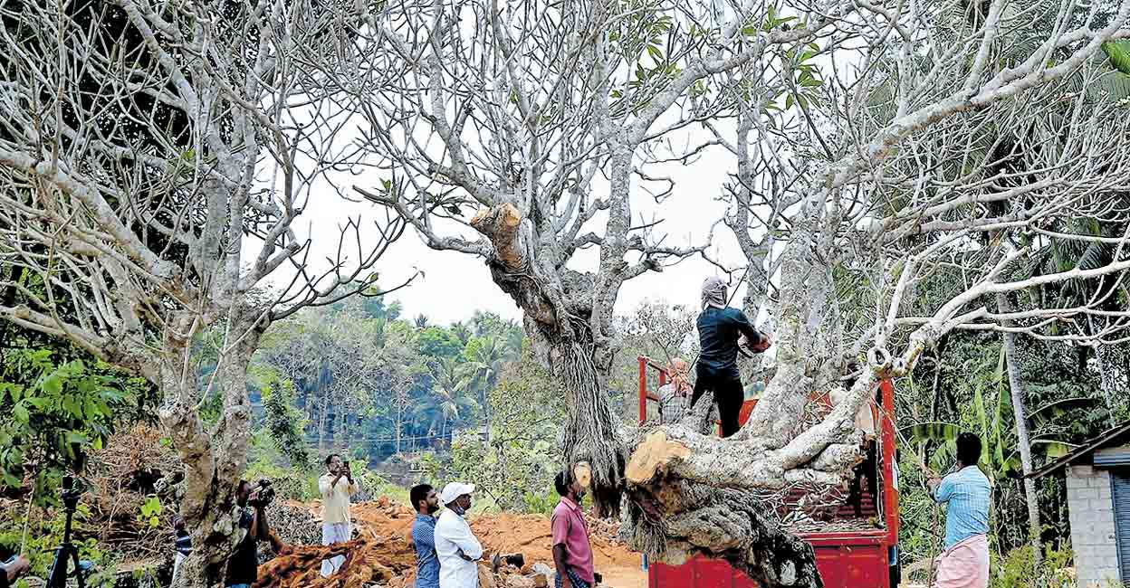 മണ്ണുമാന്തിയുടെ കൊലക്കൈകളിൽ നിന്നാണ് ഈ രക്ഷപ്പെടൽ; പുതിയ മണ്ണി ...