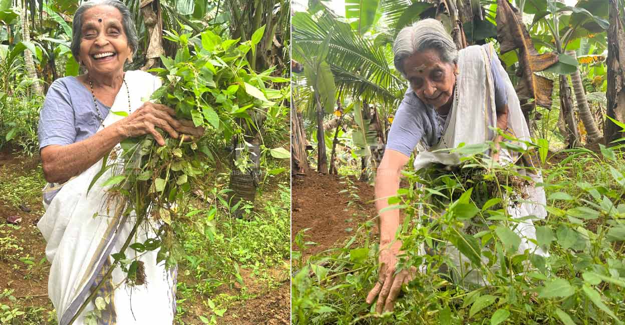 ഇന്ന് ലോക വയോജന ദിനം; തൊണ്ണൂറ്റിരണ്ടാം വയസ്സിലെ യുവത്വം