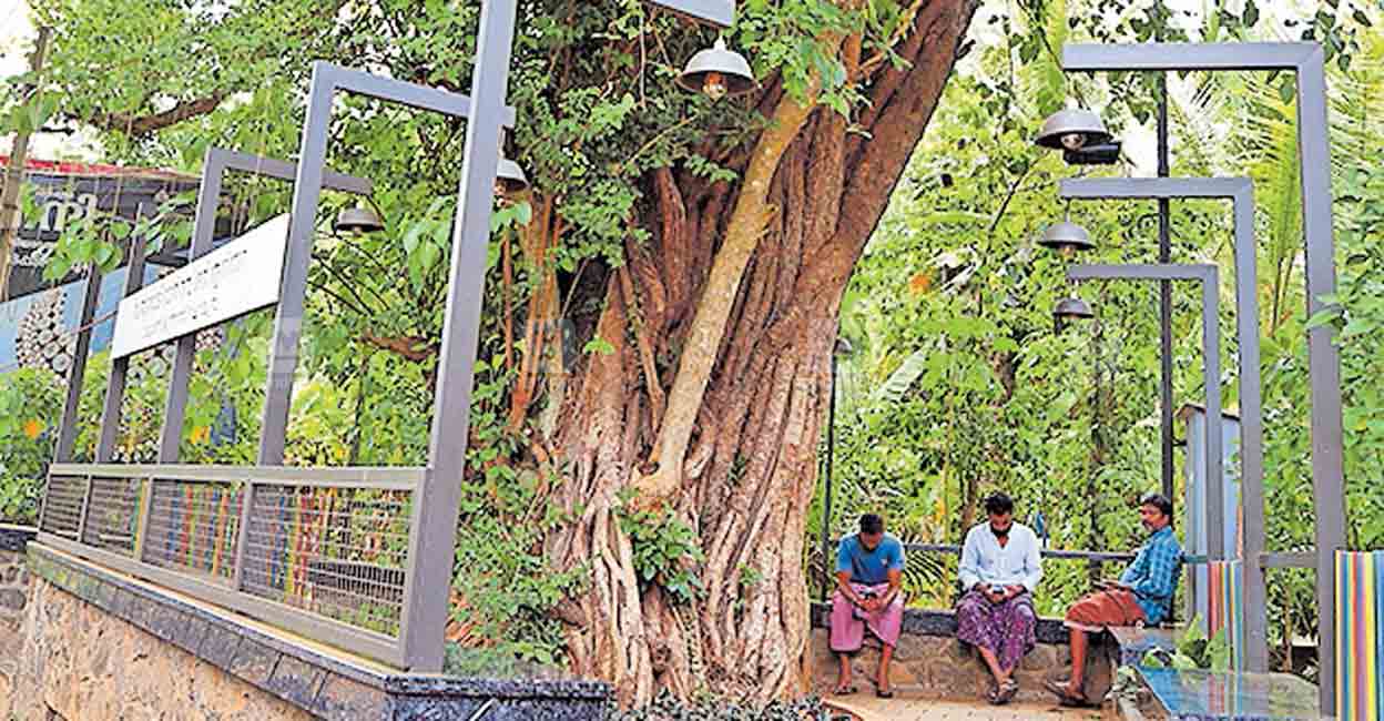 മണ്ണിൽചവിട്ടി ഉയരാം
