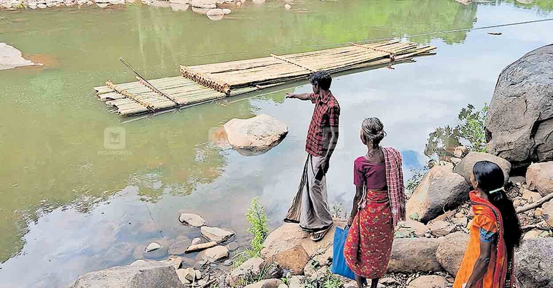 ഉറപ്പൊക്കെ വെള്ളത്തിലായി; മഴയ്ക്കു മുൻപ് ചങ്ങാടമൊരുക്കി ആദിവാസി ...