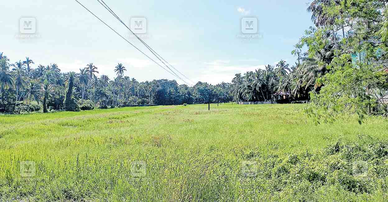 ആനുകൂല്യം വെട്ടിക്കുറച്ചു; 600 ഏക്കർ പാടം തരിശിടും | Kerala ...