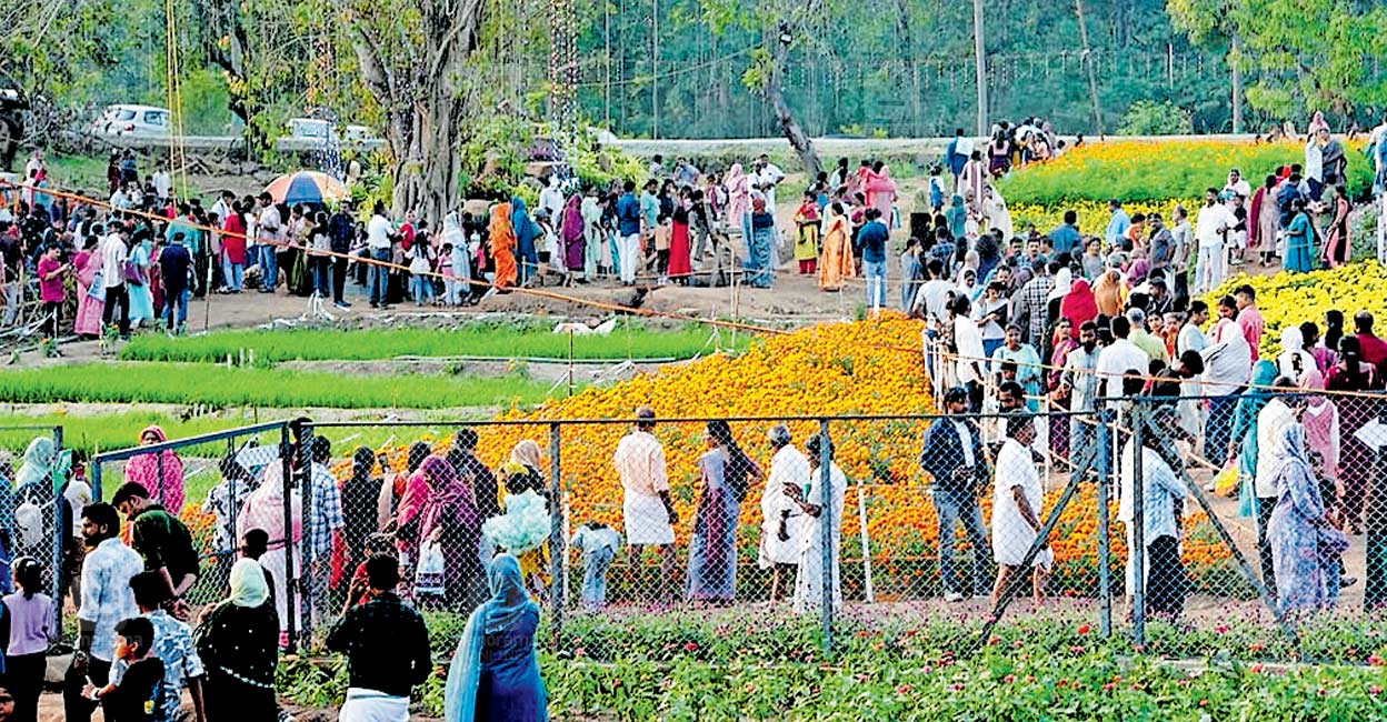 തിരക്കിന്റെ ഞായറാഴ്ച പിന്നിട്ട് ‘നിറപൊലി’ ഇന്നു സമാപിക്കും | Nirampoli ...