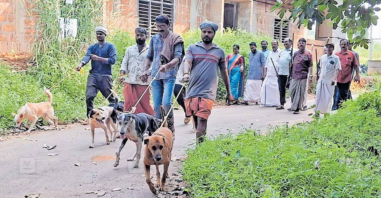 കാട്ടുപന്നികളെ വെടിവച്ചു കൊല്ലുന്നത് ഊർജിതമാക്കി പഞ്ചായത്തുകൾ | Wild boar menace | Edakkara news ...