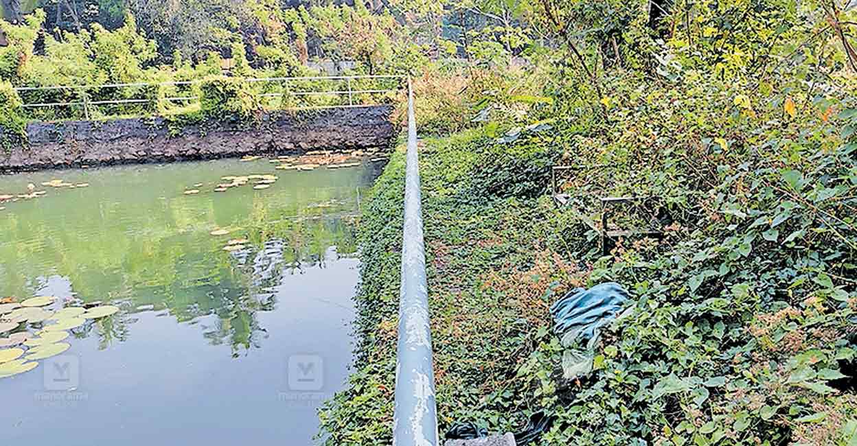 നവീകരിച്ചു ‘കുള’മാക്കിയ കോലാട്ട് കുളം നശിക്കുന്നു | Kolattu Kulam ...