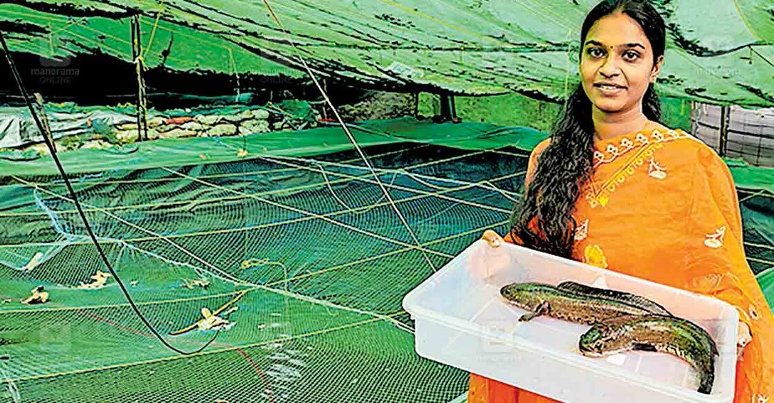 ജോലിയുടെ ഇടവേളകളിൽ 15 സെന്റ് സ്ഥലത്ത് മത്സ്യക്കൃഷി; പരീക്ഷണം വിജയമാക്കി ...