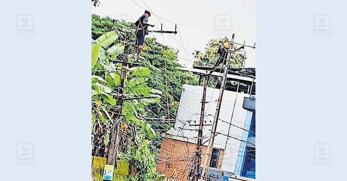 ആ ‘ഷോക്കിന്’ പരിഹാരം; മഞ്ചേരി സ്കൂളിനരികിലെ വൈദ്യുതലൈൻ മാറ്റിത്തുടങ്ങി ...