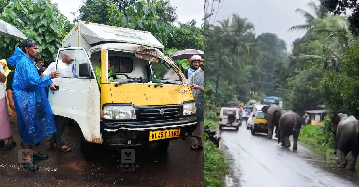 കരുവാരകുണ്ടിൽ വാൻ തകർത്ത് കാട്ടാനക്കൂട്ടം - വിഡിയോ | Karuvarakundu ...