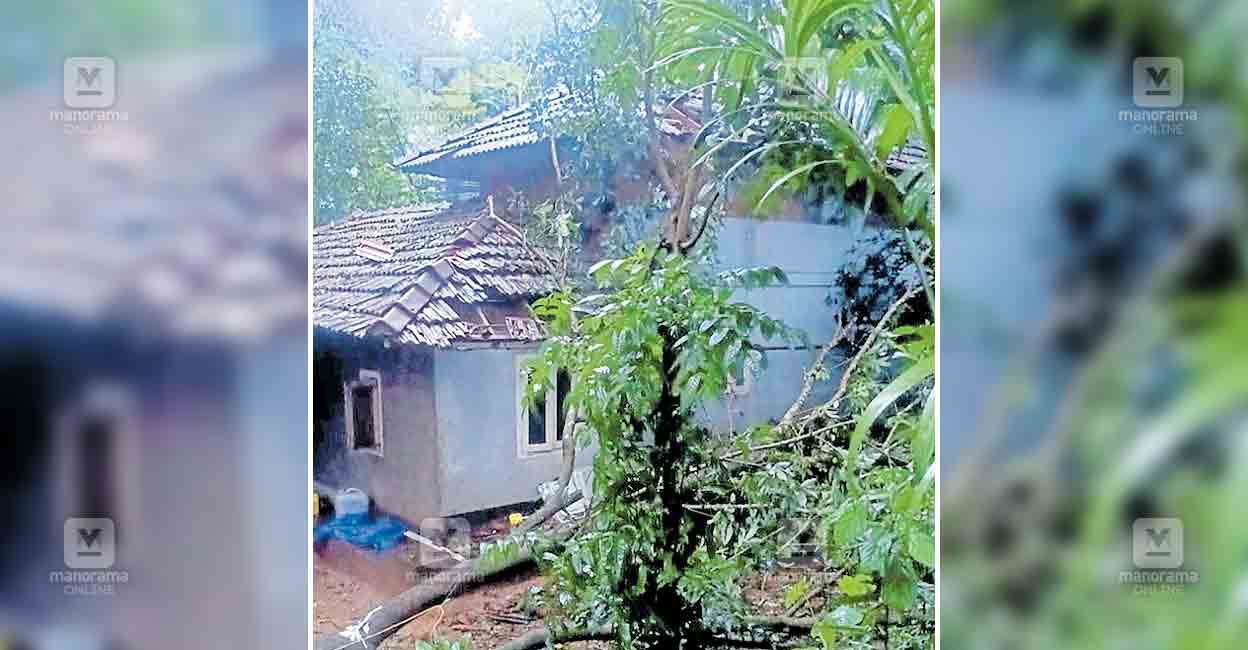 വീടുകൾക്കും കാറുകൾക്കും മുകളിൽ മരം വീണ് നാശം | പെരിന്തൽമണ്ണ ...