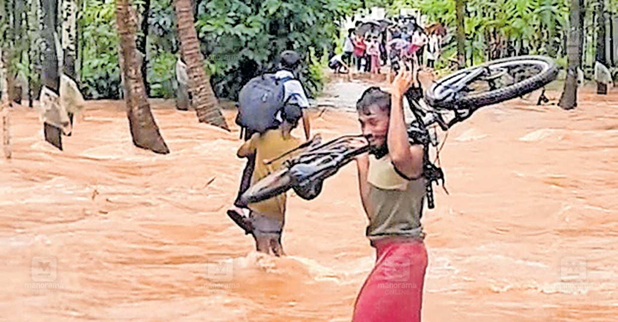 മലയോരത്തെ വിറപ്പിച്ച് മലവെള്ളപ്പാച്ചിൽ; കൃഷിയിടങ്ങളും താഴ്ന്ന ...