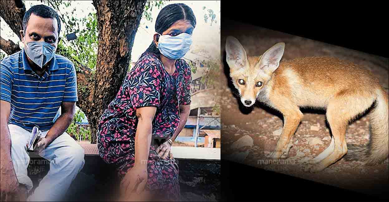 ആദ്യം കാലിൽ കടിച്ചു, തള്ളിമാറ്റാൻ ശ്രമിച്ചപ്പോൾ തലയിലും; 20,000 രൂപയുടെ ...