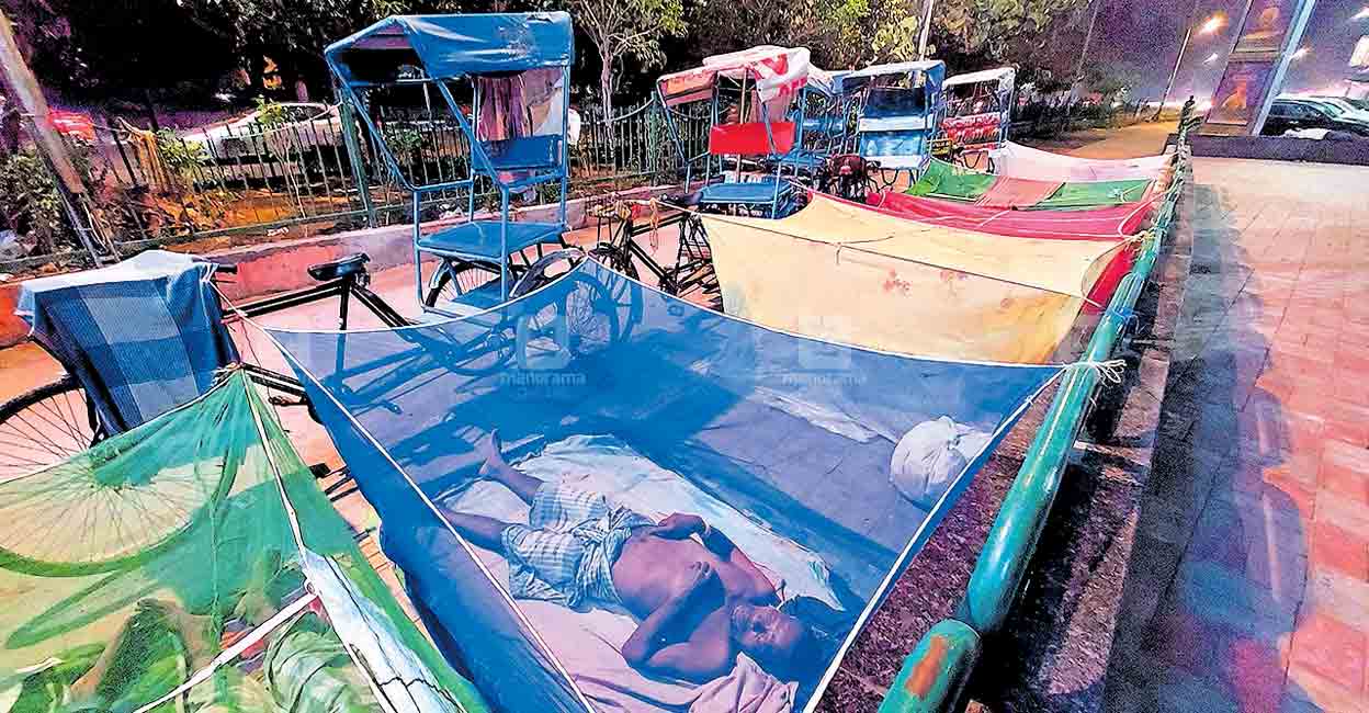 പിടിമുറുക്കി ഡെങ്കിപ്പനി