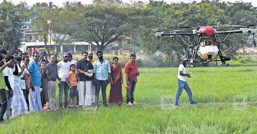 ആലത്തൂർ പാടശേഖരങ്ങളിൽ വളവും കീടനാശിനിയും തളിക്കാൻ ഡ്രോൺ