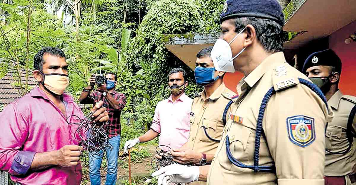 പ്രവീണിന്റെ മരണം കാട്ടുപന്നിയെ പിടിക്കാൻ കെണി ഒരുക്കിവച്ച വൈദ്യുതി ...