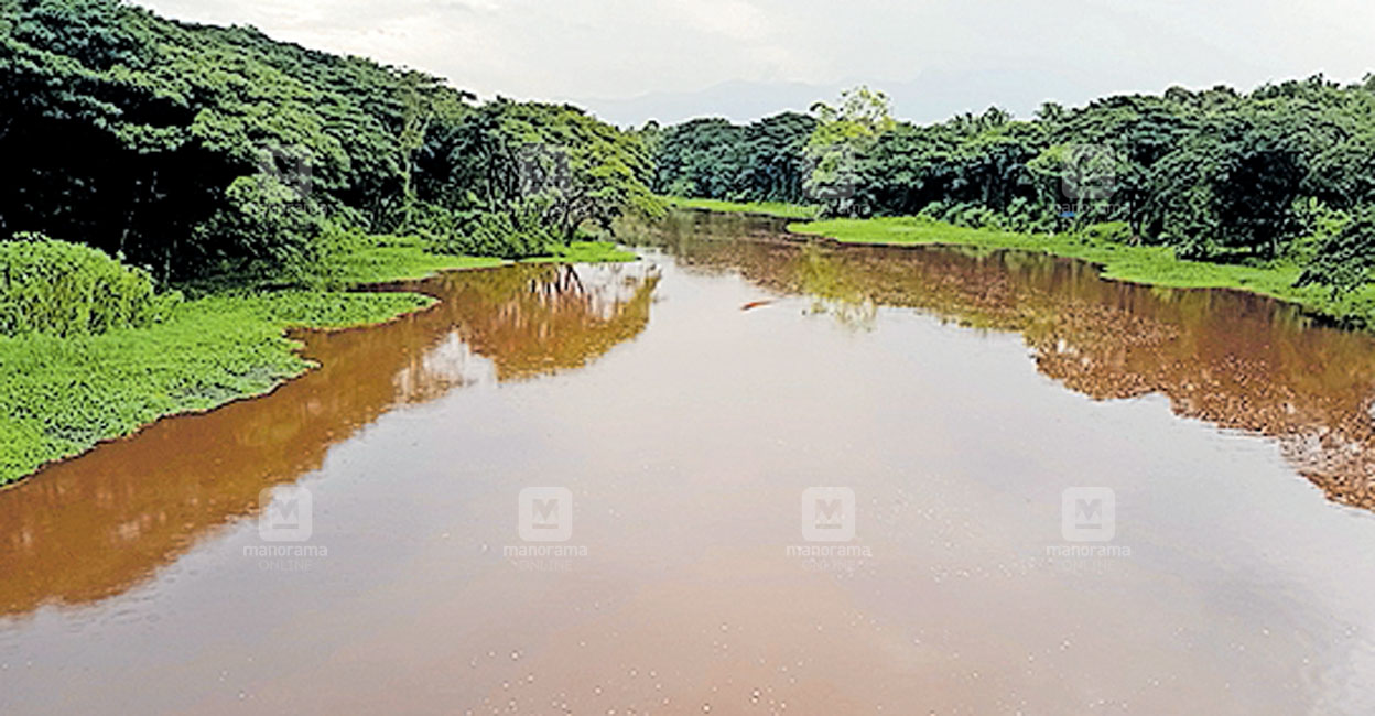 കുത്തൊഴുക്കിൽ കലങ്ങി മറിഞ്ഞ് ചിറ്റൂർപുഴ; ശുദ്ധീകരിച്ചിട്ടും ...