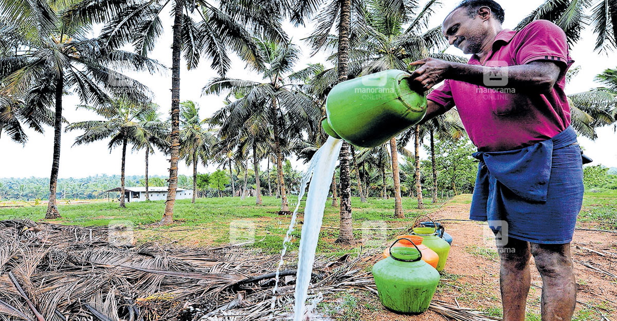 ഇവിടെ കള്ള് ഒഴുക്കി കളയുന്നു: ലോക്ഡൗൺ പ്രഖ്യാപിച്ചതോടെ പ്രതിസന്ധിയിലായവർ
