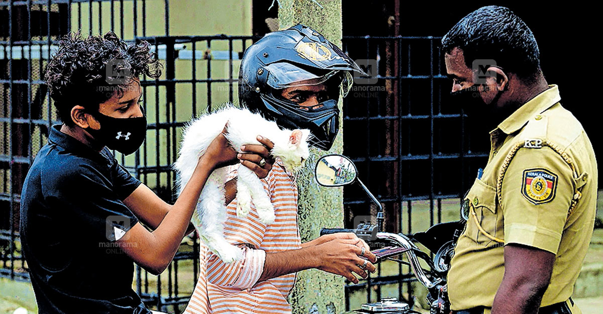 നടപടി കടുപ്പിച്ചു പൊലീസ് 77 വാഹനങ്ങൾ പിടിച്ചെടുത്തു; 154 അറസ്റ്റ്