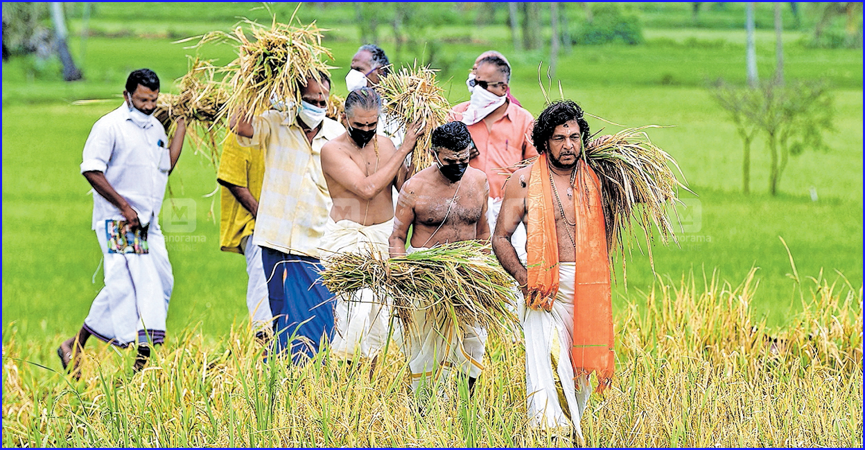 ശബരീശന്റെ നിറപുത്തരി കതിർക്കറ്റകൾ പുറപ്പെട്ടു