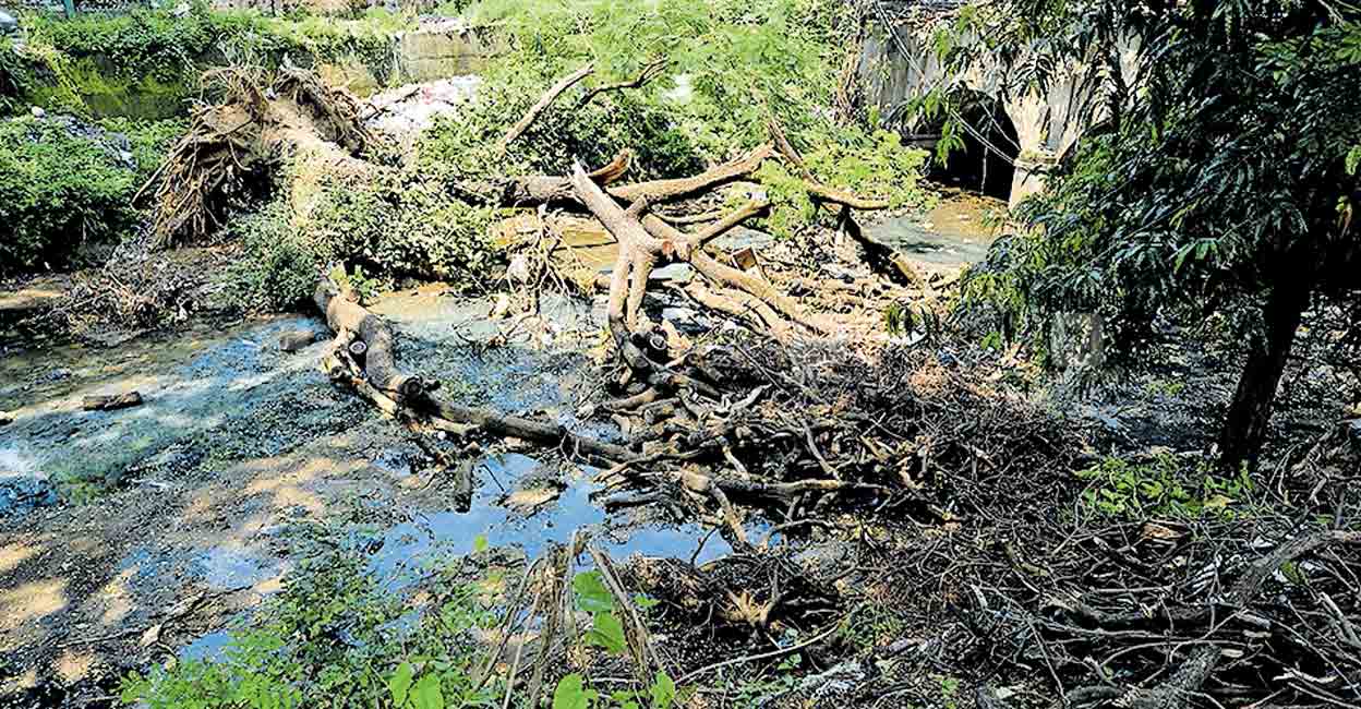 രണ്ടാം വിള ജലസേചനം: കനാലുകളിലെ തടസ്സം നീക്കാൻ സഹായം തേടി നാട്