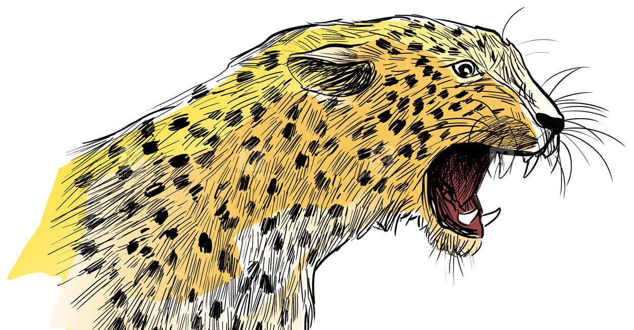 മൂന്നാറിലെ ജനവാസ മേഖലയിൽ പുലിയിറങ്ങി; 2 നായ്ക്കളെ കൊന്നു | Munnar | മൂന്നാർ