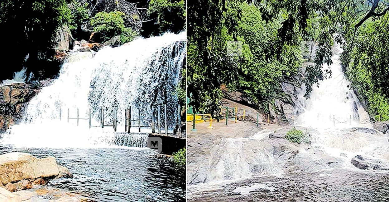 കനത്ത മഴ; ഫാൾസുകളിൽ വെള്ളച്ചാട്ടം ശക്തമായി