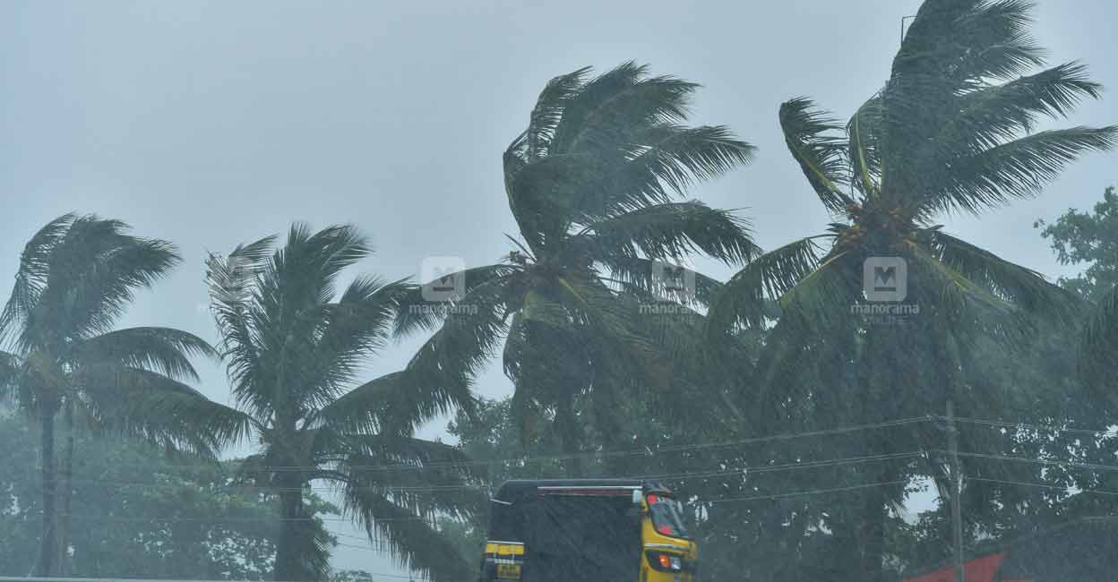 വേനൽമഴക്കണക്കിൽ കോട്ടയം മുന്നിൽ; 90 ശതമാനം കുറവുമായി കോഴിക്കോട് ഏറ്റവും ...