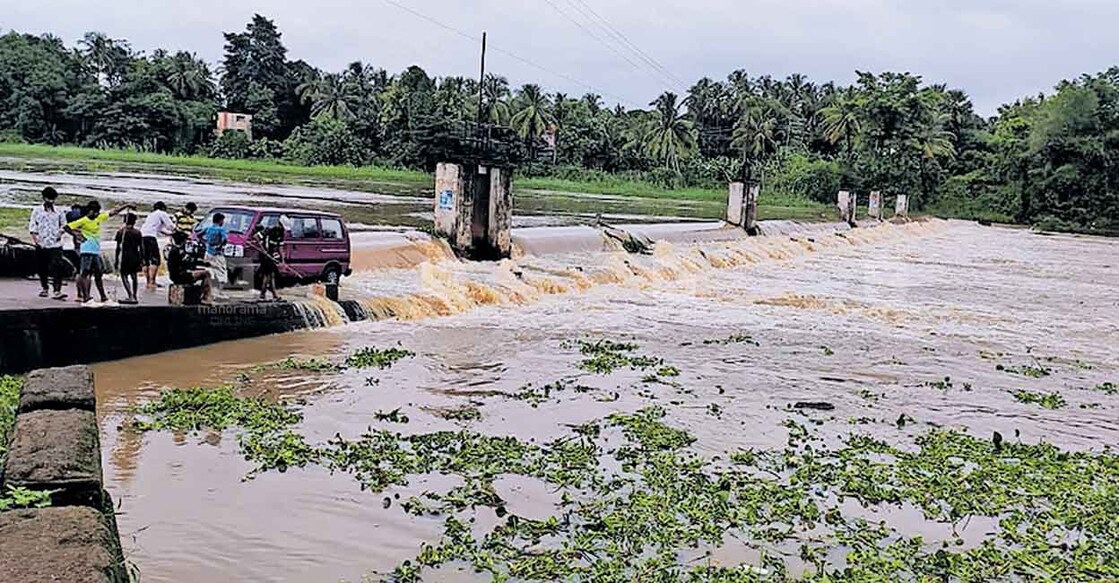 തടയണകൾ കവിഞ്ഞൊഴുകുന്നു | Palakkad rain update | Palakkad weather ...
