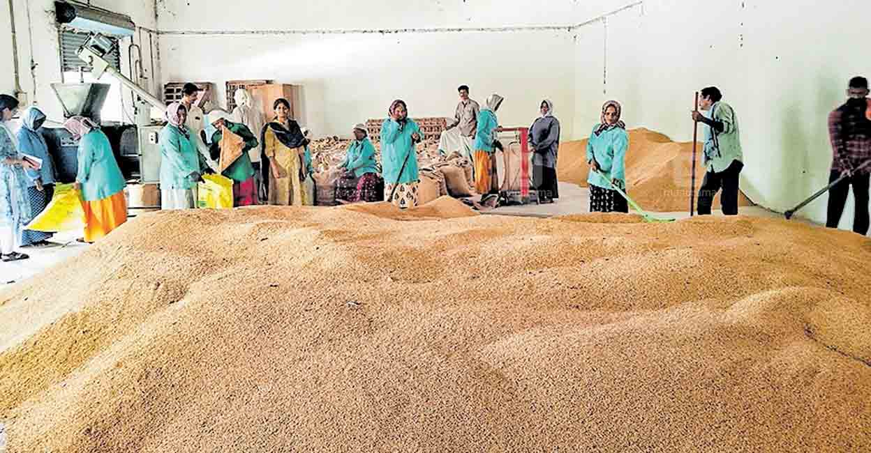 പോഷകസമൃദ്ധി പദ്ധതികളുമായി ആലത്തൂർ വിത്തുൽപാദന കേന്ദ്രം