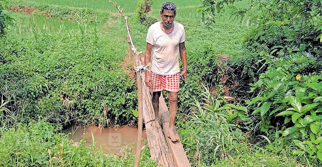 കാർഷിക യന്ത്രങ്ങൾ പാടത്ത് എത്തിക്കാൻ പാലം പണിയണം | Kunnampalliyal ...