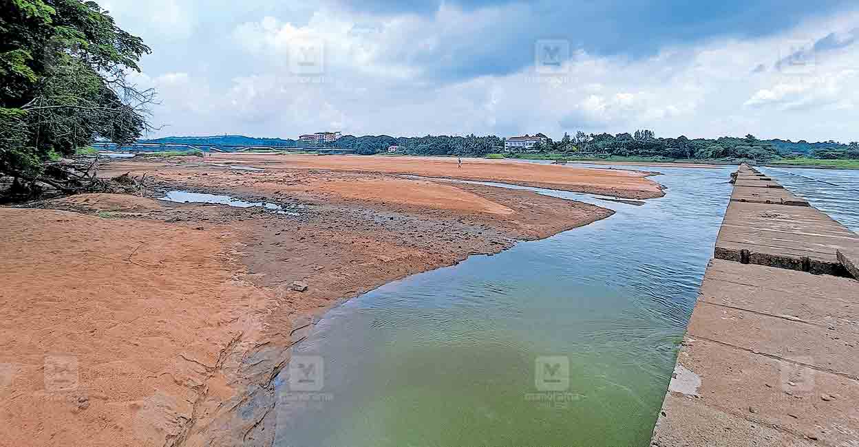 വേനൽ എത്തും മുൻപ് ഭാരതപ്പുഴ വരണ്ടു; തടയണയിൽ മണൽ അടിഞ്ഞതിനാൽ വെള്ളം ...