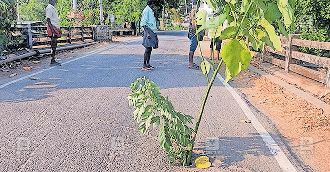 ചളവറ–ചെർപ്പുളശ്ശേരി റോഡിലെ ദ്വാരം അപകടം