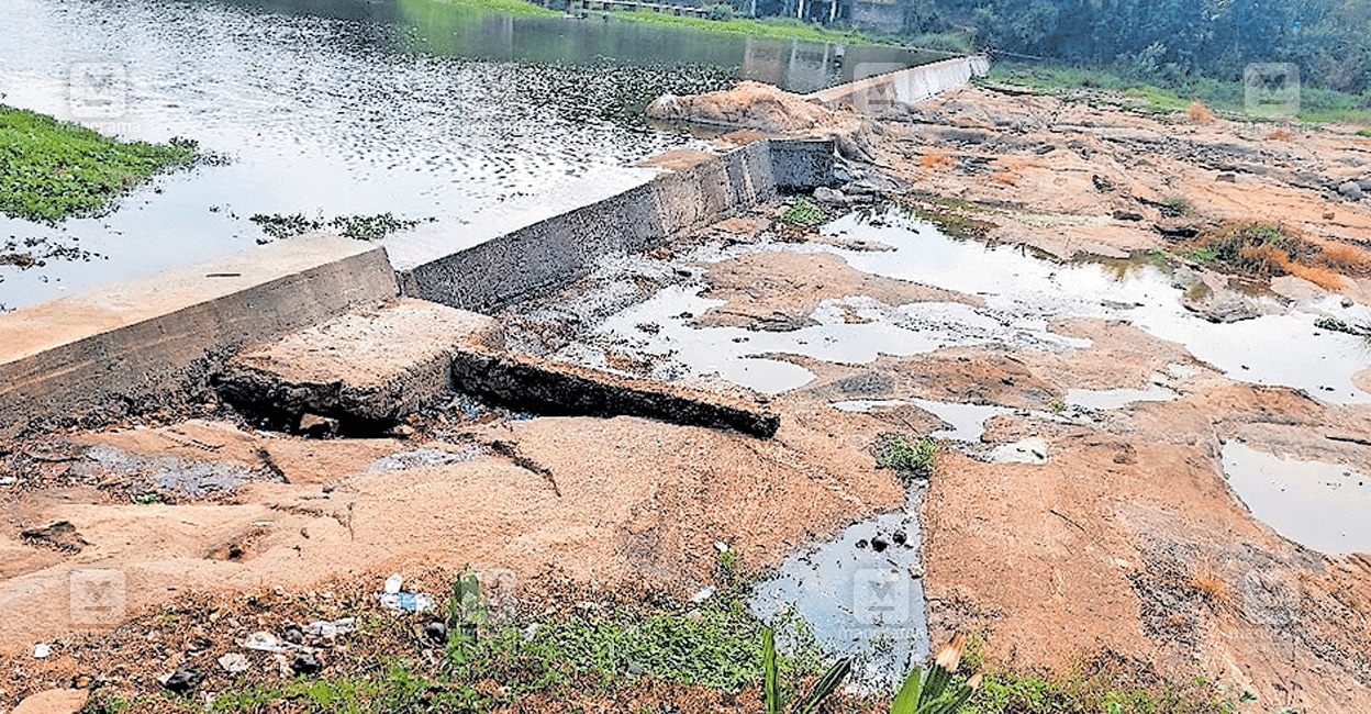 ആളിയാർ വെള്ളം വീണ്ടും കുറഞ്ഞു; ഞാവളംകടവിൽ ഉൾപ്പെടെ പ്രതിസന്ധി അതിരൂക്ഷം