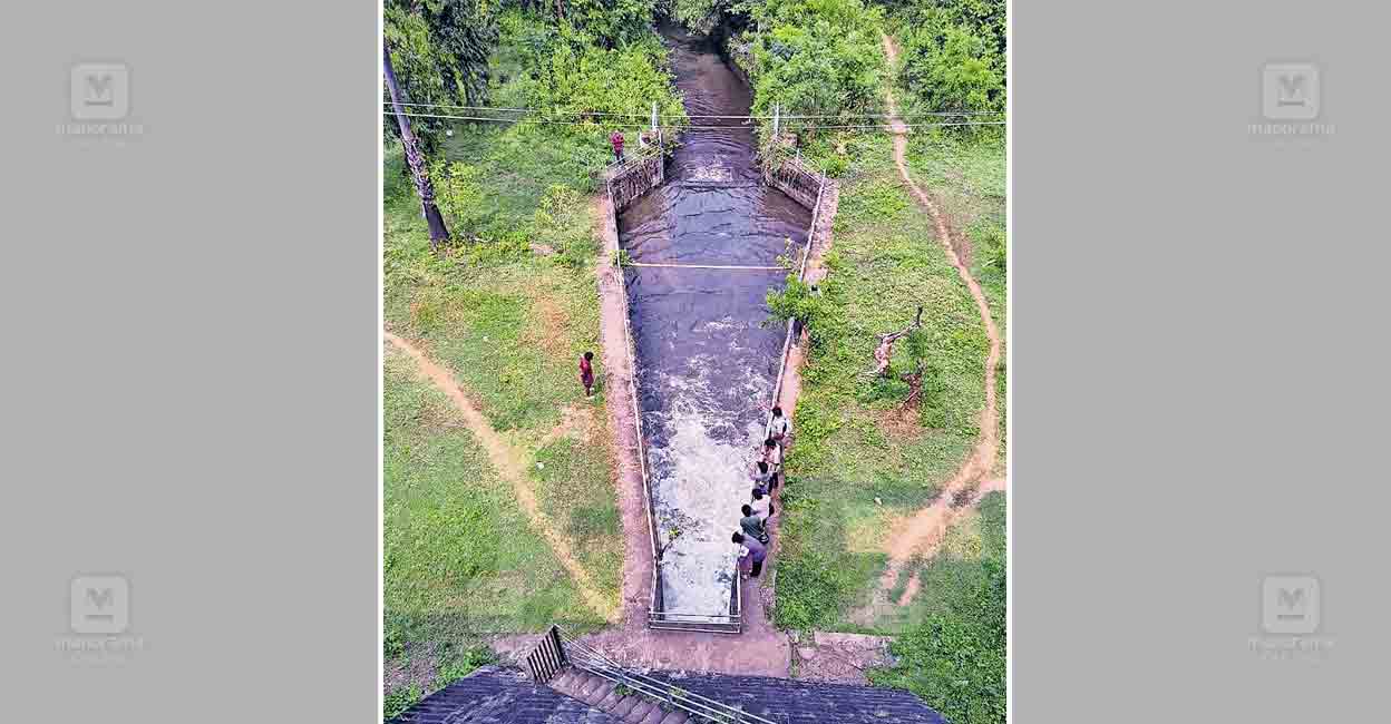 രണ്ടാംവിള നെൽക്കൃഷി: ചുള്ളിയാർ, മീങ്കര അണക്കെട്ടുകൾ കനാലിലേക്കു തുറന്നു ...