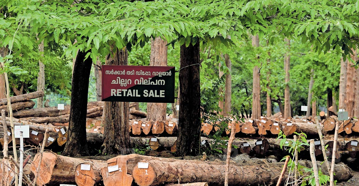 മാസത്തിൽ കോടികളുടെ വിൽപന, അതിർത്തികൾ കടന്ന് വാളയാർ തേക്കുപെരുമ; എങ്ങനെ ...