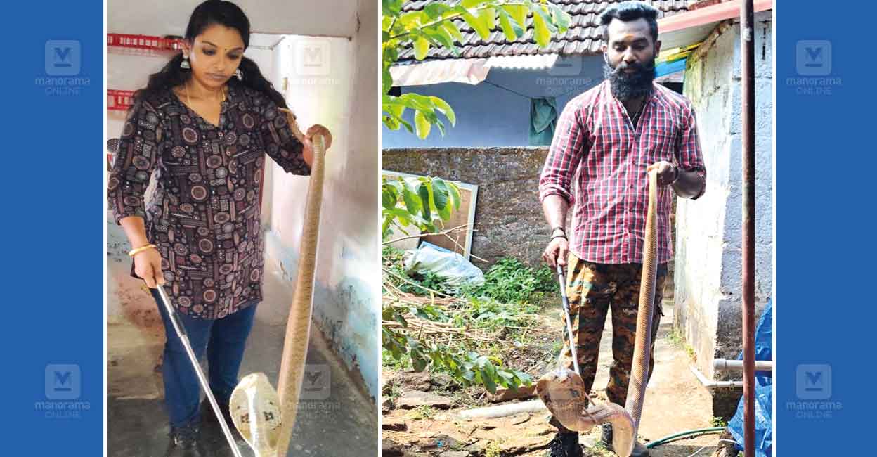 ഭർത്താവിന്റെ ഭ്രാന്തമായ ഇഷ്ടത്തോട് പതുക്കെ ഭാര്യയ്ക്കും താൽപര്യം ...