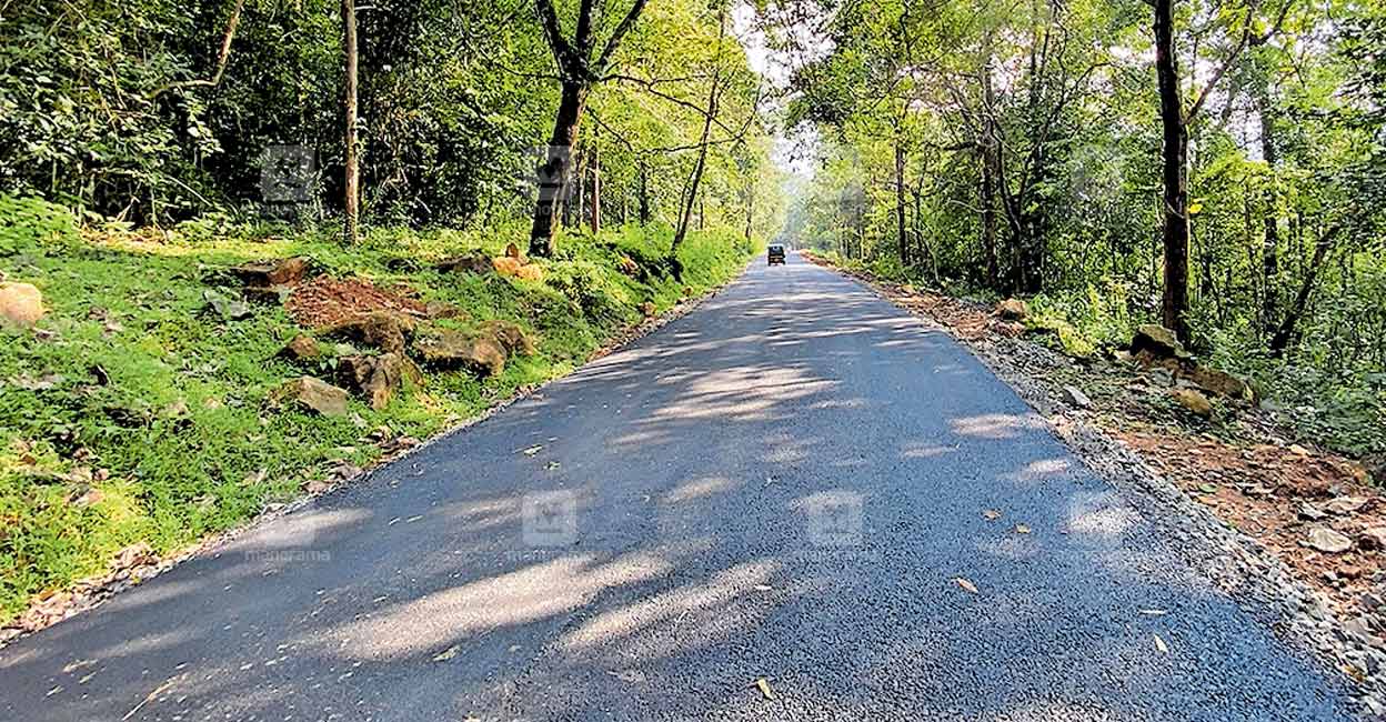 പ്ലാപ്പള്ളി–ആങ്ങമൂഴി റോഡ് പുനരുദ്ധാരണം പൂർത്തിയായി