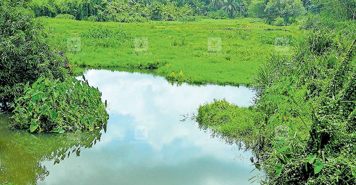 കോതവിളച്ചാൽ നവീകരിക്കുന്നു