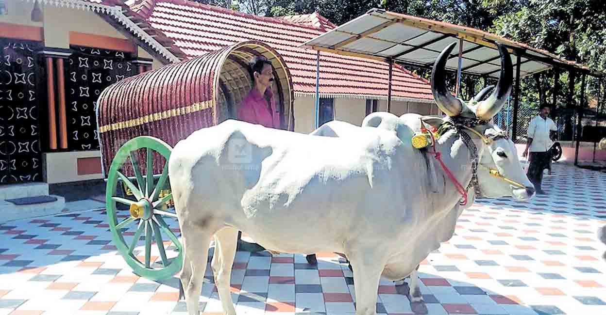 ഉരുളുന്നു, ഓർമച്ചക്രം... കടകട ശബ്ദത്തോടെ ഭാരവും വലിച്ചു നീങ്ങുന്ന കാളകളും കാളവണ്ടിയും ഓർമകളിൽ മാത്രം