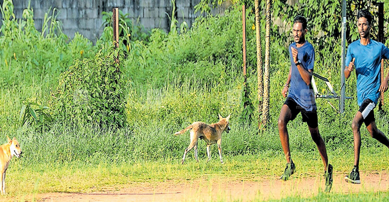 ‘പത്തനംതിട്ട നിങ്ങളെ സ്വാഗതം ചെയ്യുന്നു’ എന്ന ബോർഡിന് ഒപ്പം ‘നായയുണ്ട് ...
