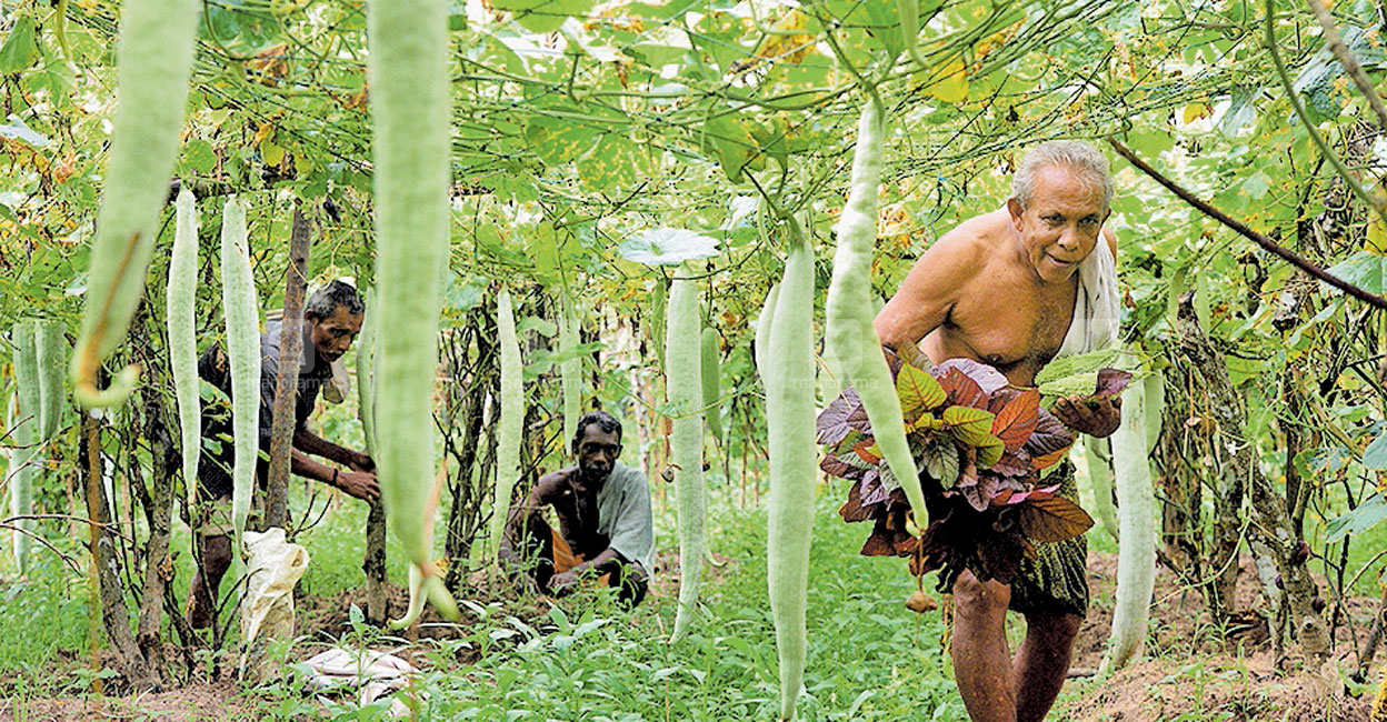 പത്ത് ചുവട് മണ്ണുണ്ടേൽ അന്തസ്സായി ഓണം...