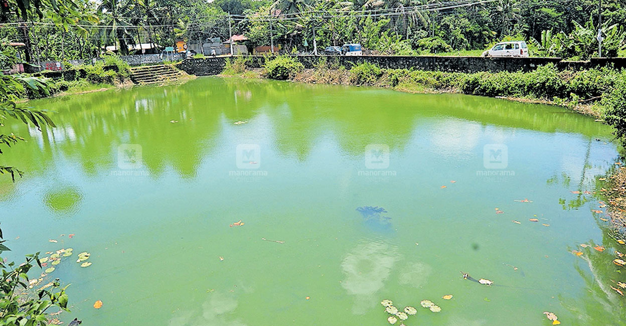 ഇങ്ങനെ മതിയോ?; ഇലന്തൂരിന്റെ വിശേഷങ്ങൾ തേടി നാട്ടുവാർത്ത