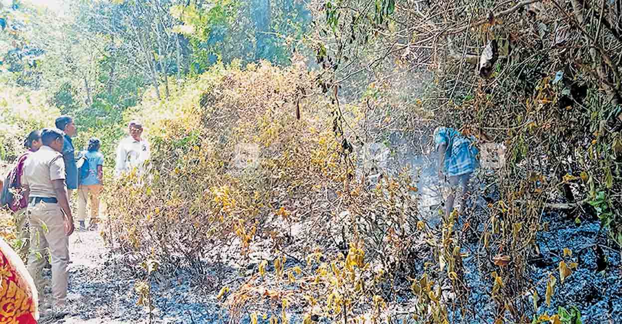 വനാതിർത്തിയിൽ കാട്ടു തീ പടർന്നു