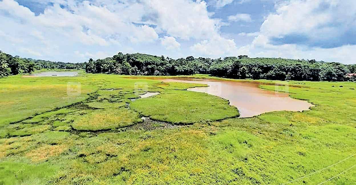 പോളച്ചിറ ടൂറിസം; പഞ്ചായത്തിന്റെ തീരുമാനം കാത്ത് ഡിടിപിസി
