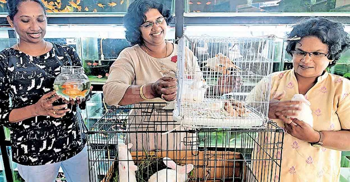 ജോലിയിൽ നിന്ന് ഒരുമിച്ചു പടിയിറങ്ങിയ 3 വനിതകള്‍ വീണ്ടും ഒന്നിക്കുന്നു ...