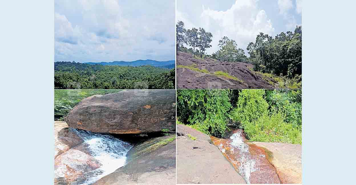 കുരങ്ങും മയിലും മ്ലാവും... സഞ്ചാരികളെ ആകർഷിച്ച് പെരുമ്പെട്ടി നാഗപ്പാറ ...